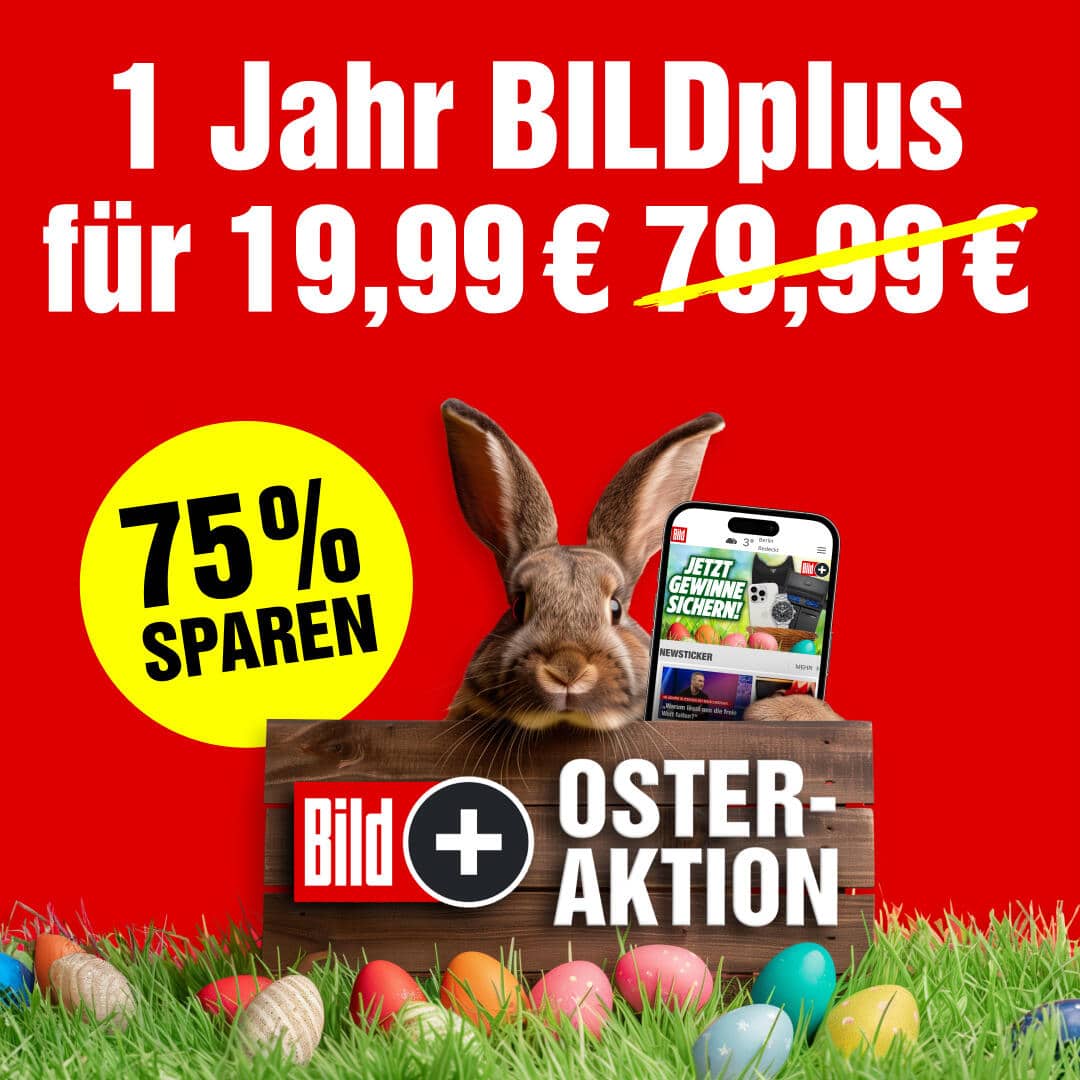 👀 BILDplus für nur 19,99€ jährlich statt 79,99€ // 1,99€ monatlich (für ...